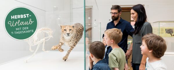Steiermark Card - 180 Ausflugsziele in der Steiermark